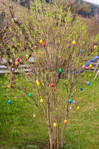 Shrub at Easter with colored Easter eggs stock image - alimdi