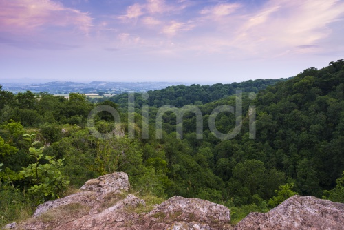Summer evening view over Ebbor Gorge National Nature Reserve in the ...